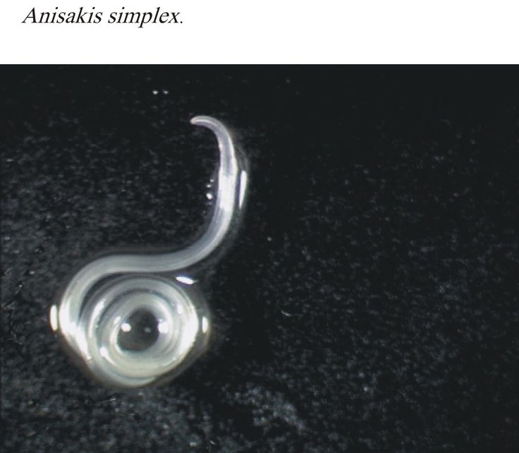 Parazit Anisakis spp. u zamrznutom osliću - INZ.BA